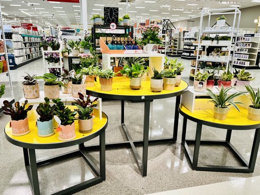 TARGET - Updated August 2025 - 342 Photos & 75 Reviews - 19511 N ...