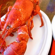 THE LOBSTER POOL - 153 Photos & 264 Reviews - Seafood - 329 Granite St ...