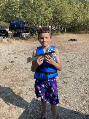 OP COMICS AND GAMES - Updated December 2025 - 41 Photos & 104 Reviews ...