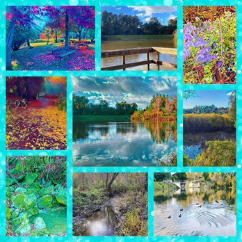 DON CASTRO REGIONAL RECREATION AREA - Updated January 2026 - 401 Photos ...