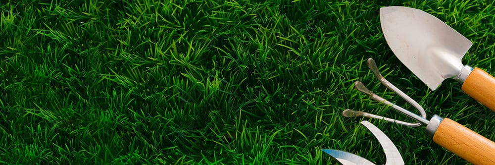 MCFALL SOD FARMS - Updated April 2026 - 2524 Hampshire Pike, Columbia ...