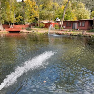 RAINBOW TROUT FARM - 164 Photos & 122 Reviews - 3500 N St Rt 89A ...