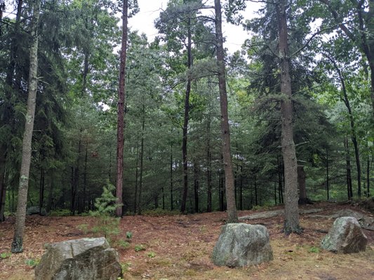 D W FIELD PARK - 31 Photos & 17 Reviews - 331 Oak St, Brockton ...