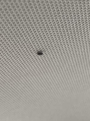 SECRET CITY CHRYSLER DODGE JEEP RAM - Updated August 2024 - 13 Photos ...