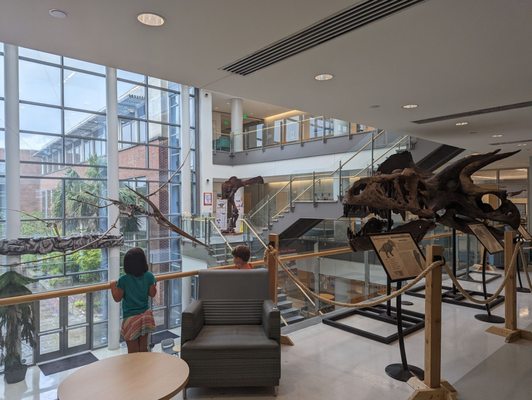 MACE BROWN MUSEUM OF NATURAL HISTORY - Updated October 2025 - 116 ...