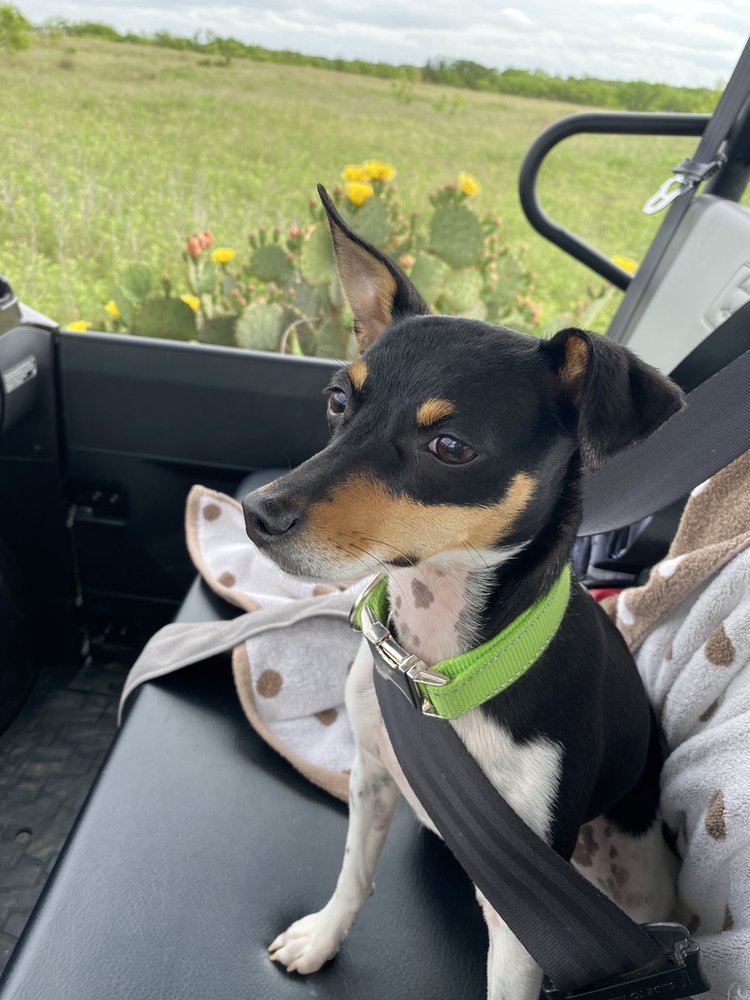 AREA 25 - Updated June 2025 - 39 Photos & 14 Reviews - 7721 Inwood Rd ...