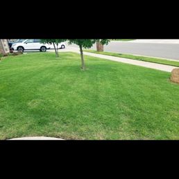 Spring-Green Lawn Care Reviews | Read Customer Service Reviews of ...