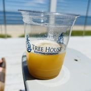TREE HOUSE BREWING - 93 Photos & 34 Reviews - 98 Town Neck Rd, Sandwich ...