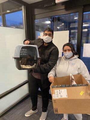 THE CAT CONNECTION - Updated November 2025 - 28 Photos & 13 Reviews ...