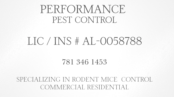 BILL VENO LANDSCAPING & LAWN MAINTENANCE - Updated December 2025 - 991 ...