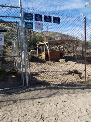 WOLF CONNECTION - Updated December 2025 - 53 Photos & 20 Reviews ...