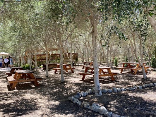 TABER RANCH VINEYARD & EVENT CENTER - Updated June 2025 - 498 Photos ...