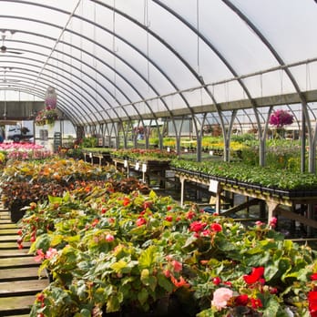 LEONG’S NURSERY - Updated October 2025 - 24 Photos - 7487 Meadow Avenue ...