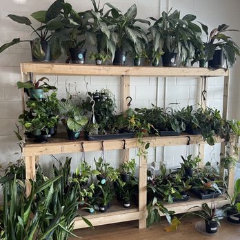 COLLIGO COFFEE - Updated August 2025 - 33 Photos & 14 Reviews - 724 ...