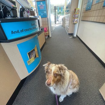 THE UPS STORE - Updated November 2025 - 39 Photos - 136 Reviews - 3108 ...