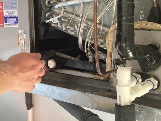 COOL TODAY - Updated January 2026 - 16 Photos & 60 Reviews - 7260 15th ...