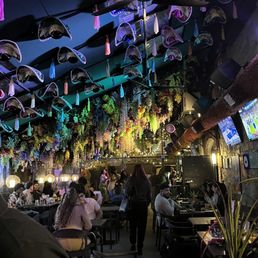 LITTLE TIJUANA - Updated December 2025 - 671 Photos & 426 Reviews - 538 ...