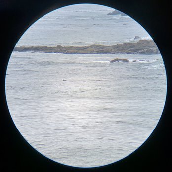 MOONSTONE LANDING - Updated June 2025 - 316 Photos & 229 Reviews - 6240 ...