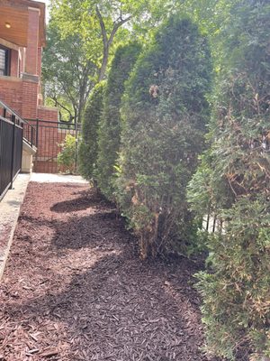 URICH SERVICES - Updated December 2025 - 25 Photos & 21 Reviews ...