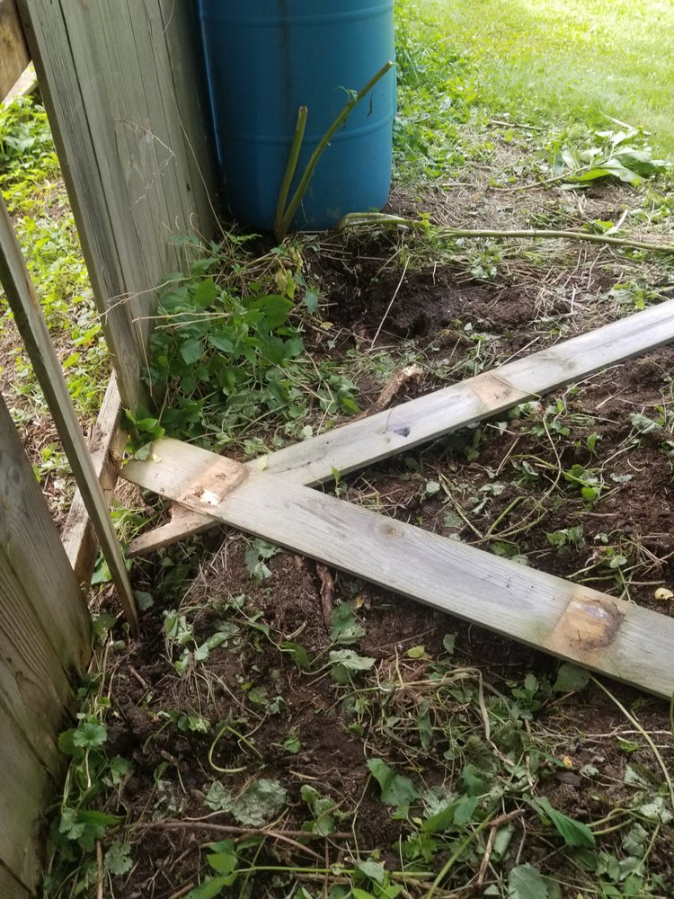 STINKY’S TANK SERVICE - Updated July 2025 - 399 Main St, Freeville, New ...