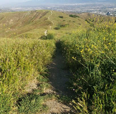 HULDA CROOKS PARK - Updated July 2024 - 140 Photos & 54 Reviews - 25701 ...