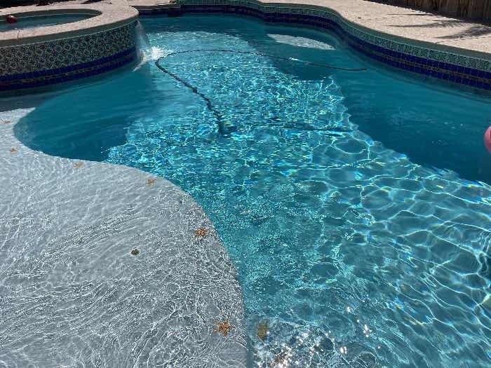 TIGER SHARK POOL SERVICE - Updated October 2025 - 40 Photos & 33 ...