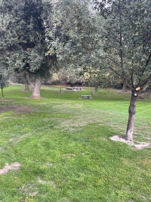 MAVIS STOUFFER PARK - 26 Photos & 15 Reviews UPDATED - Parks - 960 ...