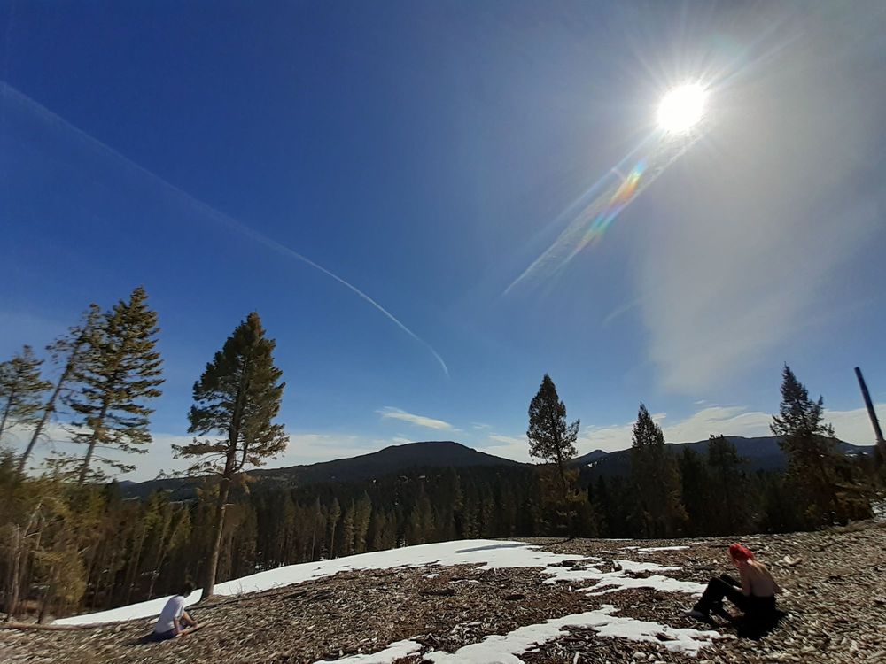 SHADOW PINES LOOP TRAIL - Updated December 2025 - Pine Grove Trl ...