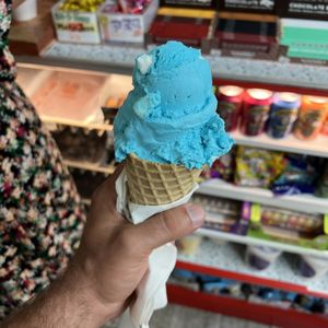 THE CANDY KITCHEN - 254 Photos & 207 Reviews - 13711 Gulf Blvd, Madeira ...