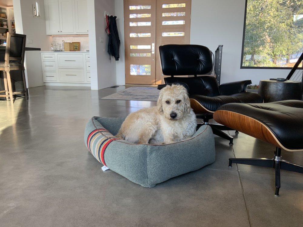 K9 COUNTRY CLUB - 63 Photos & 84 Reviews - 19223 E Appleway Ave ...