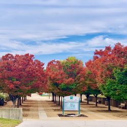 ST. LOUIS COMMUNITY COLLEGE MERAMEC CAMPUS - 12 Photos & 16 Reviews ...