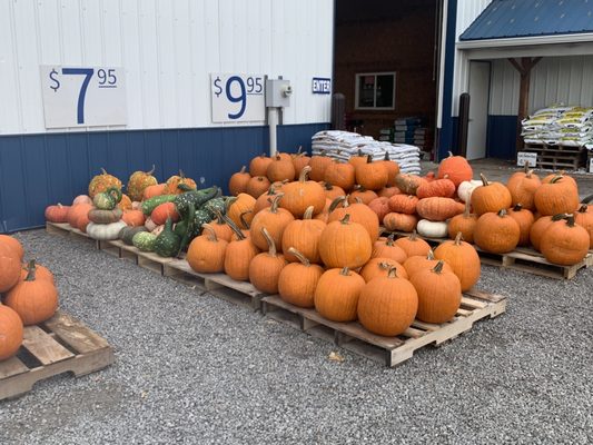 LAYMAN FEED & LAWN - Updated December 2025 - 14 Photos - 705 E Main St ...