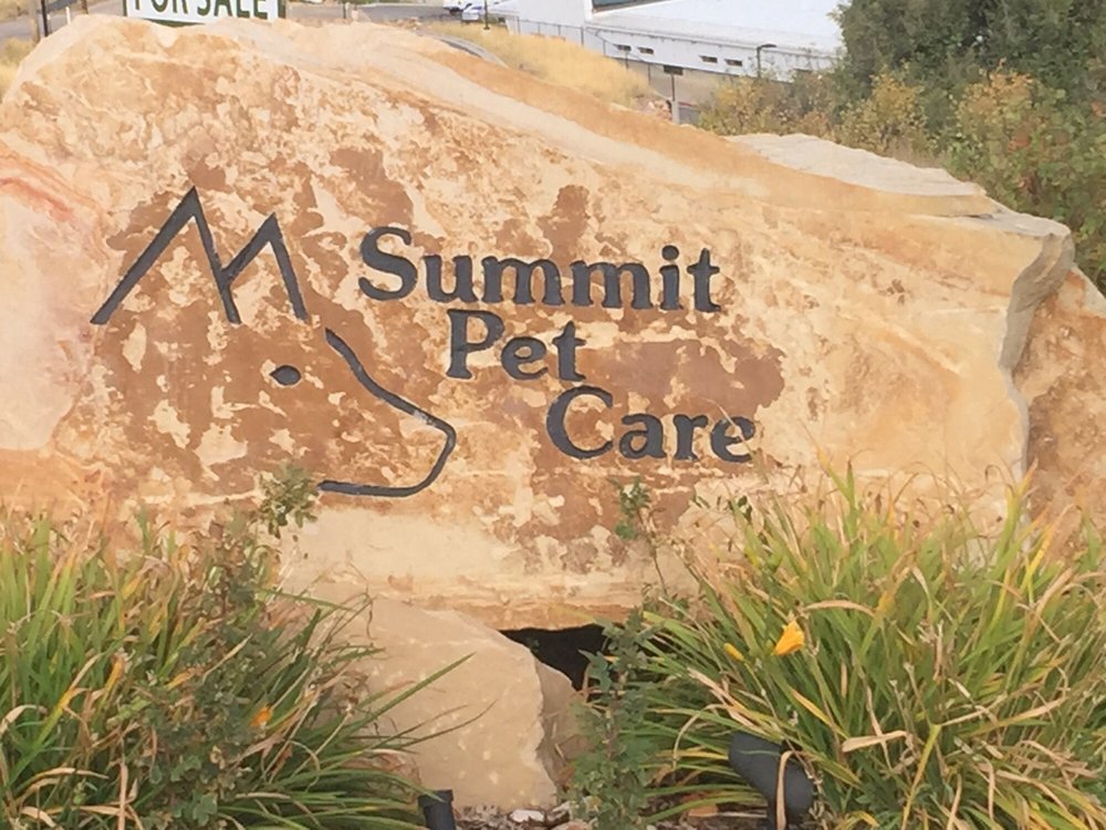 SUMMIT PET CARE - Updated May 2026 - 4385 Kilby Rd, Park City, Utah ...