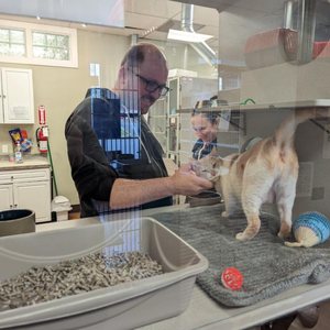 RESILIENT HEARTS ANIMAL SANCTUARY - Updated November 2025 - 3409 Stone ...