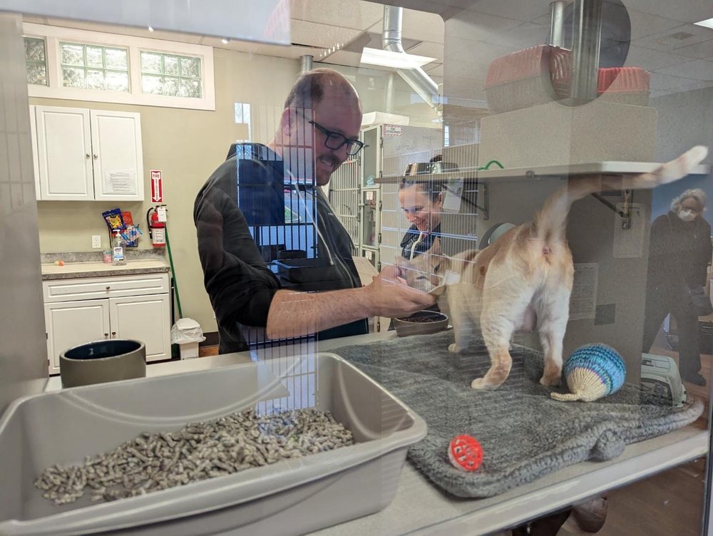 SEATTLE AREA FELINE RESCUE - Updated August 2025 - 61 Photos & 57 ...