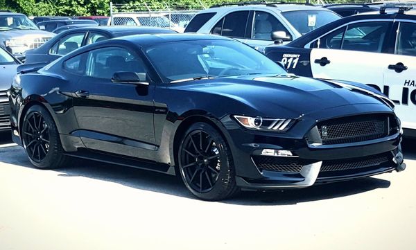 LYNN LAYTON FORD - Updated December 2025 - 10 Photos & 14 Reviews ...