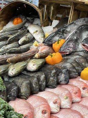 JJ FISH MARKET - 21 Photos - 1215 Sutter Ave, Brooklyn, New York ...
