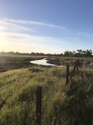 BAYLANDS PARK TRAIL - Updated November 2025 - 380 Photos & 129 Reviews ...