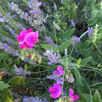 WEIMAR INSTITUTE - Updated December 2025 - 10 Reviews - 20601 W Paoli ...