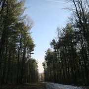 CALLAHAN STATE PARK - 50 Photos & 46 Reviews - Millwood St, Framingham ...