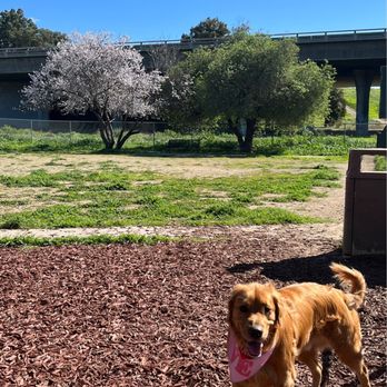 SELMA OLINDER PARK - Updated January 2026 - 45 Photos & 15 Reviews ...