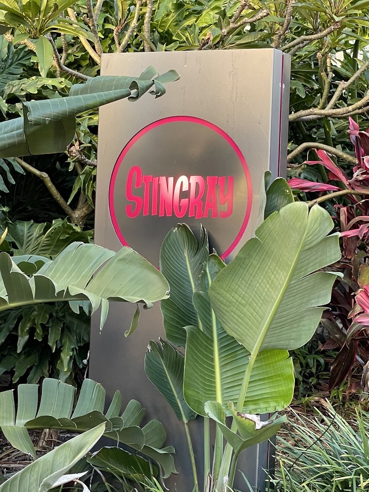 STINGRAY LOUNGE - Updated August 2024 - 7 Staghorn Ave, Surfers ...