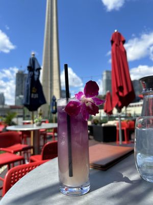 THE ROOF AT SOCO - Updated June 2025 - 51 Photos & 22 Reviews - 75 ...