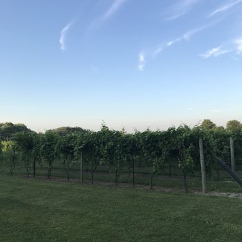 MATUS WINERY - Updated December 2025 - 15 Photos & 23 Reviews - 15674 ...