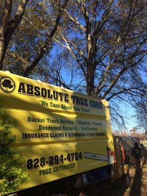 ABSOLUTE TREE CARE - Updated October 2025 - 2013 Lynn Mountain Rd, Vale, North Carolina - Tree ...
