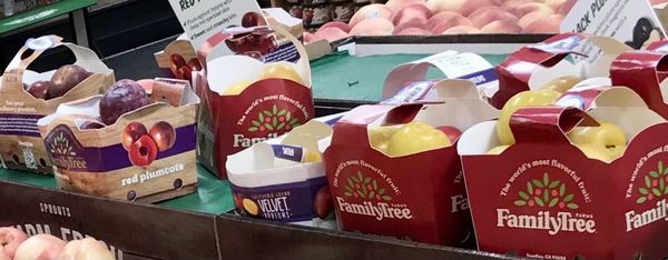 FAMILY TREE FARMS - Updated December 2025 - 41646 Road 62, Reedley ...