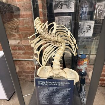 THE BONE MUSEUM - Updated January 2026 - 44 Photos & 21 Reviews - 255 McKibbin St, Brooklyn, New ...