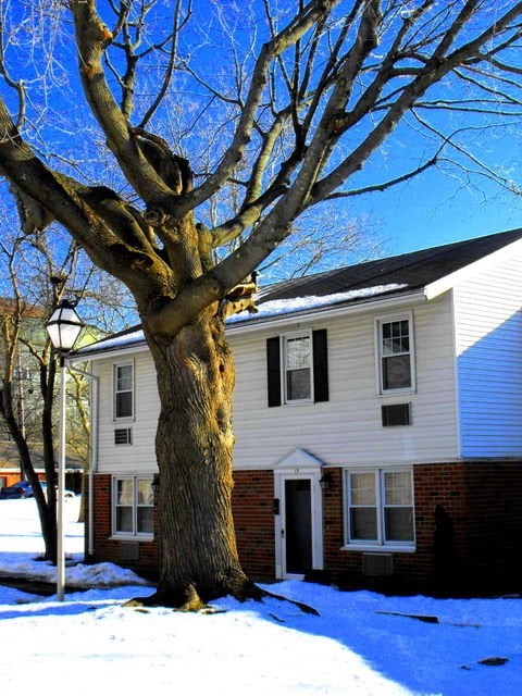 PRESIDENT VILLAGE - Updated January 2026 - 15 Photos - 9 Adams Ct, Fall ...