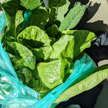 TRUE GARDEN - Updated November 2025 - 11 Photos - 5949 E University Dr ...