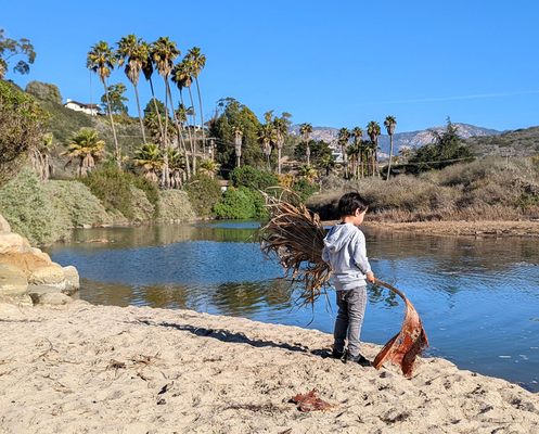 ARROYO BURRO BEACH - 580 Photos & 260 Reviews - 2981 1/2 Cliff Dr ...